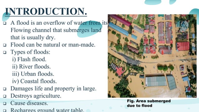 Flood risk assessment using remote sensing and gis.pptx