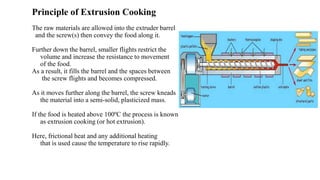 seminar ppt Extrusion Technology Effectv | PPT