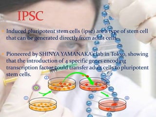 Stem cell therapy | PPT
