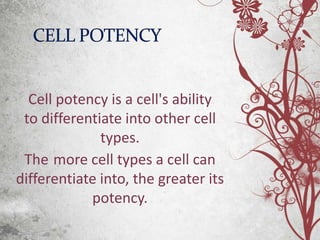 Stem cell therapy | PPT