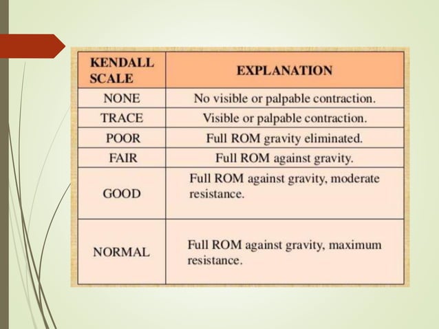 Motor control Assessment | PPTX | Physical Therapy | Wellness