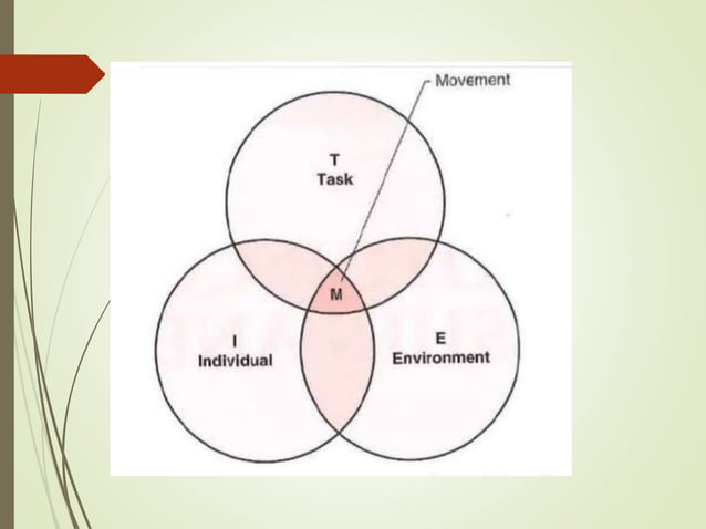 Motor control Assessment | PPTX | Physical Therapy | Wellness