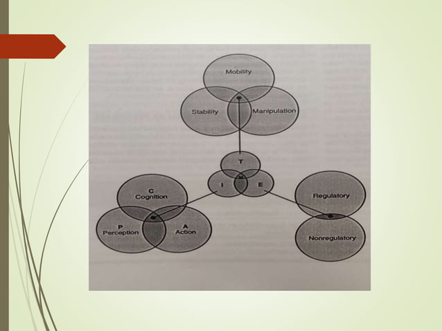 Motor control Assessment | PPTX | Physical Therapy | Wellness