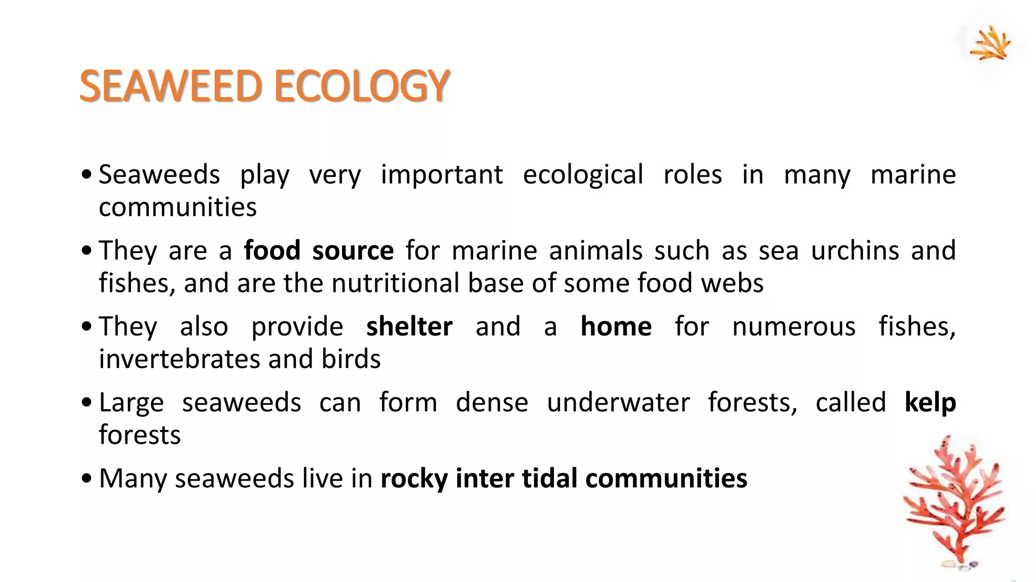 Sustainable seaweed farming- A step towards one health mission | PPTX