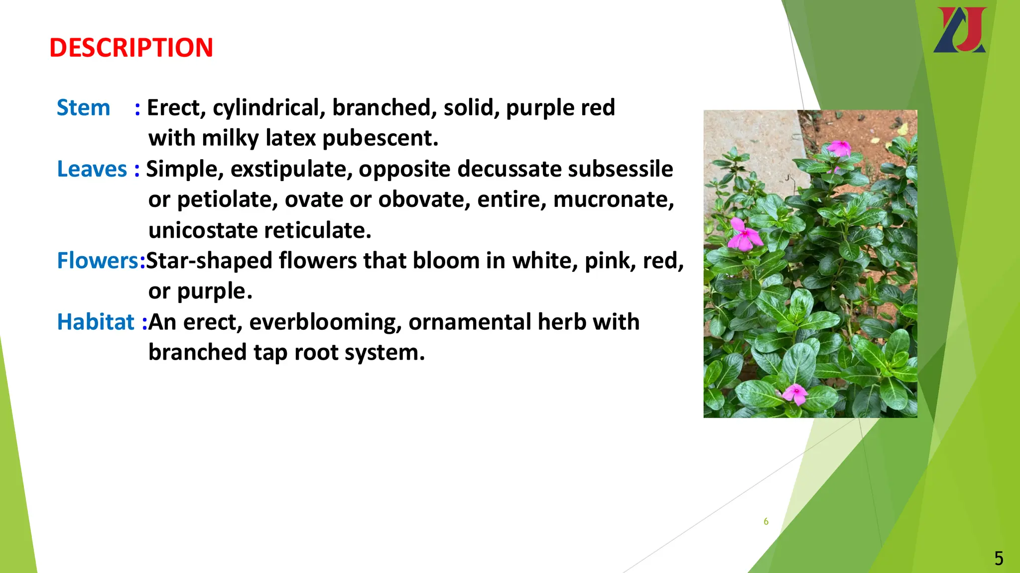 Pppt on equipment handling and validation of medicinal plants | PDF