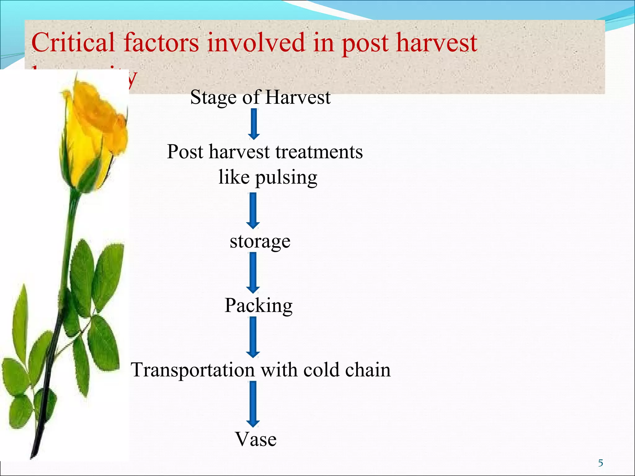 Post Harvest Handling of Flower Crops | PPT