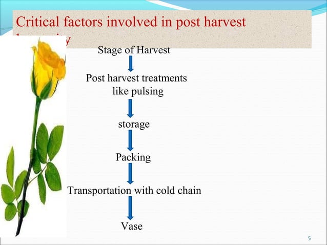 Post Harvest Handling of Flower Crops | PPT