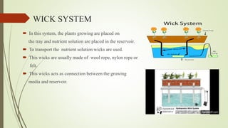 HYDOPONICS.pptx