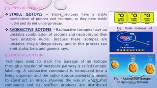 Use of stable and radio isotopes to understand the plant physiological ...