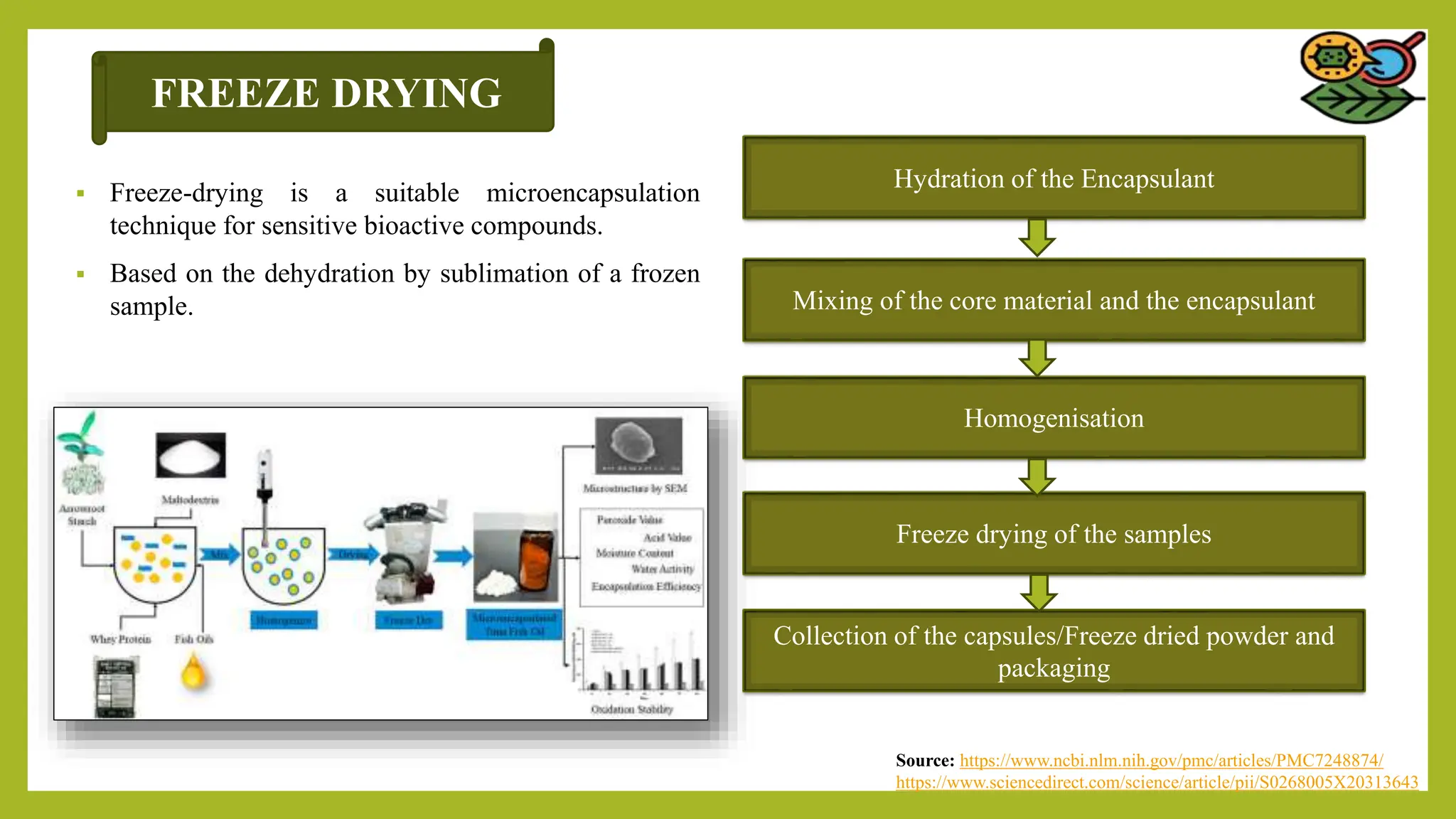 Micro Encapsulation As A Noble Technique For Application Of Bio Active Compounds In The Food