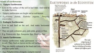 Seminar ppt(vermicomposting) | PPTX