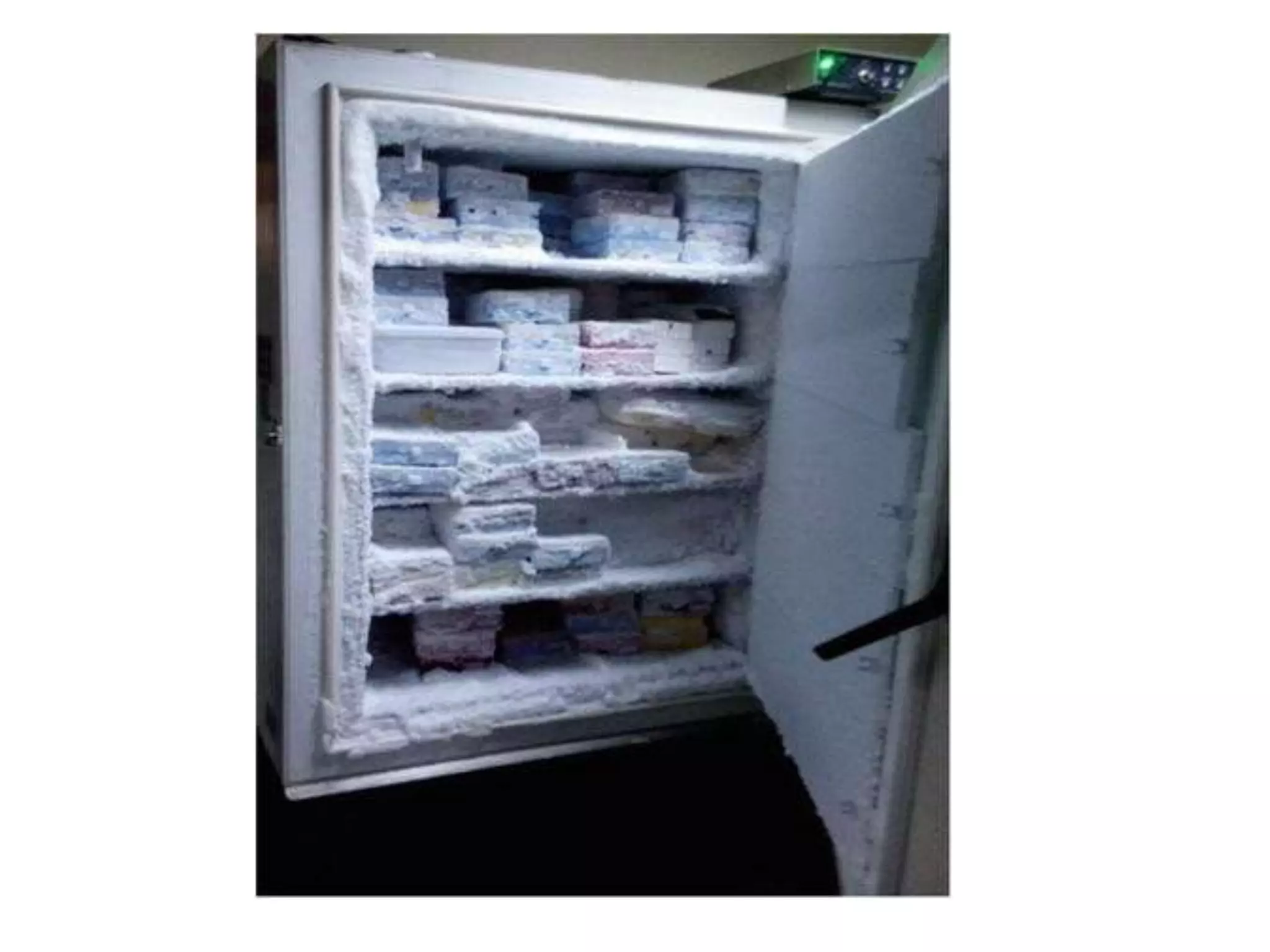 Microbial Culture Preservation and its Methods | PPTX