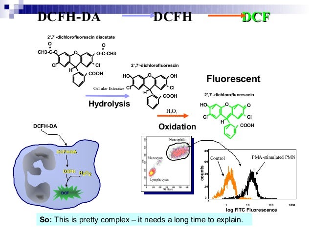 How to successfully give a seminar presentation