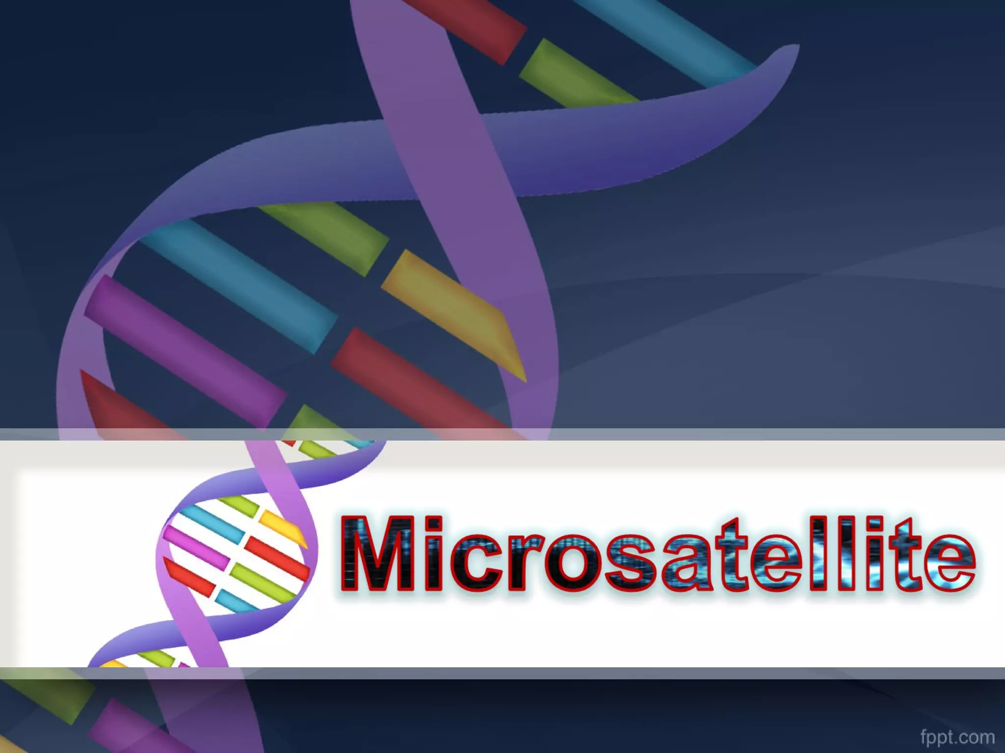 Microsatellites- Molecular fingerprints | PPT