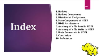 Hadoop Distributed File System | PPTX
