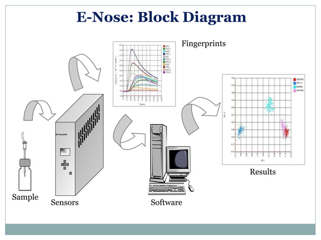 Electronic Nose(e-Nose) | PPTX | Consumer Electronics | Technology ...