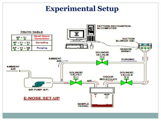 Electronic Nose(e-Nose) | PPTX | Consumer Electronics | Technology & Computing