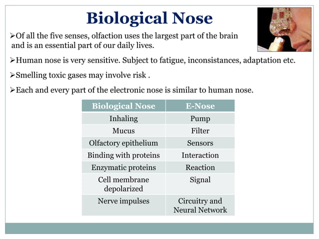 Electronic Nose(e-Nose) | PPTX | Consumer Electronics | Technology ...
