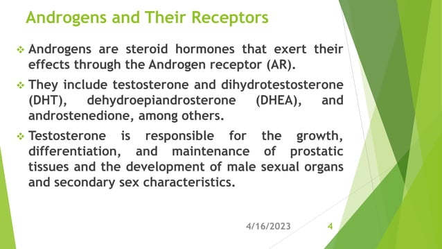 UNLOCKING THE SECRETS OF ANDROGEN RECEPTORS IN PROSTATE CANCER ...