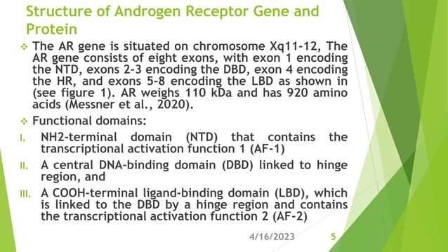 UNLOCKING THE SECRETS OF ANDROGEN RECEPTORS IN PROSTATE CANCER SUSCEPTIBILITY, PROGRESSION ...