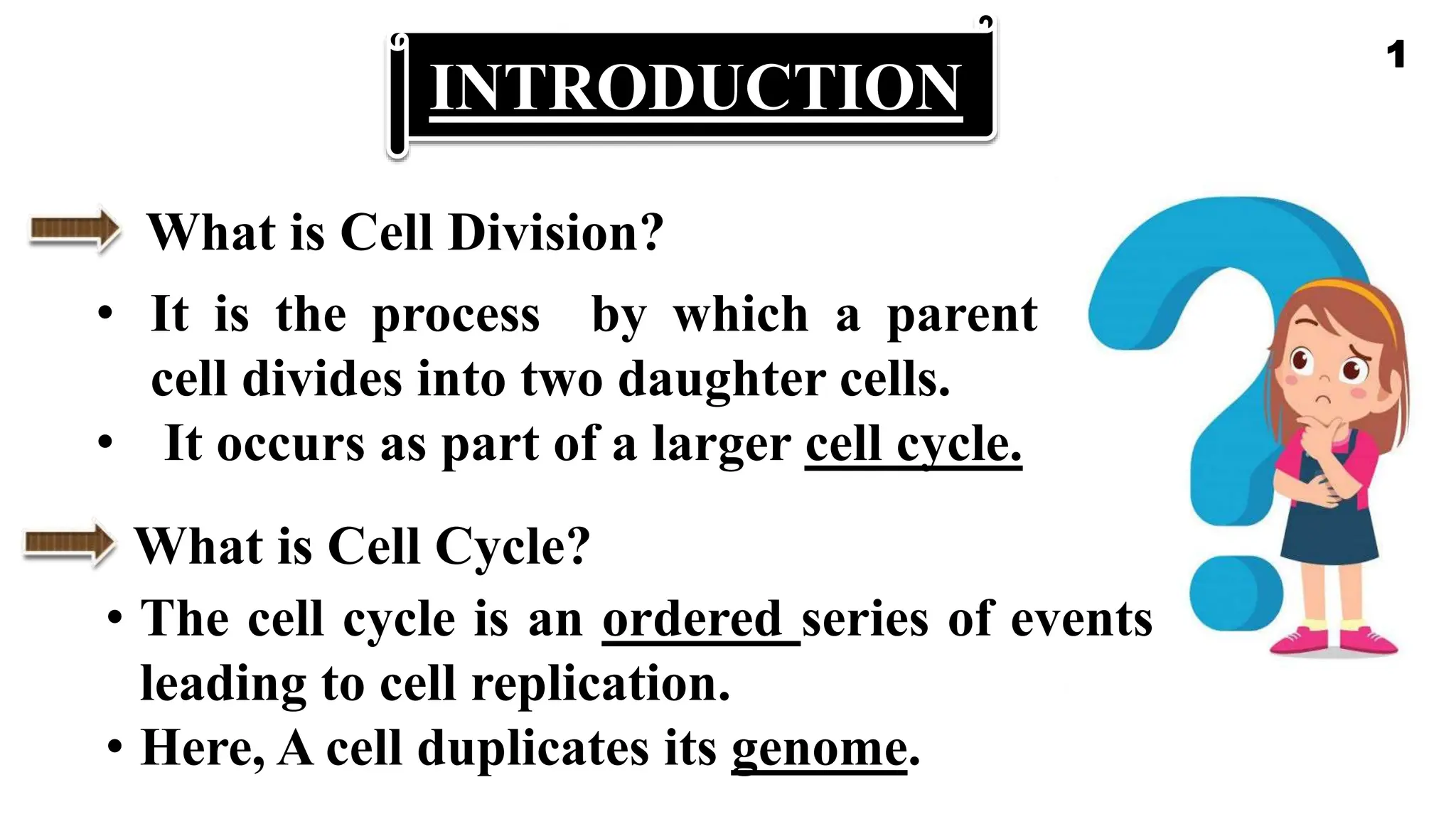 Cell cycle and it's regulation seminar . | PPTX