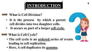 Cell cycle and it's regulation seminar . | PPTX | Biological Sciences ...