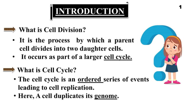 Cell cycle and it's regulation seminar . | PPT
