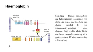 Disorders of hemoglobin and hemoglobinopathies | PPTX