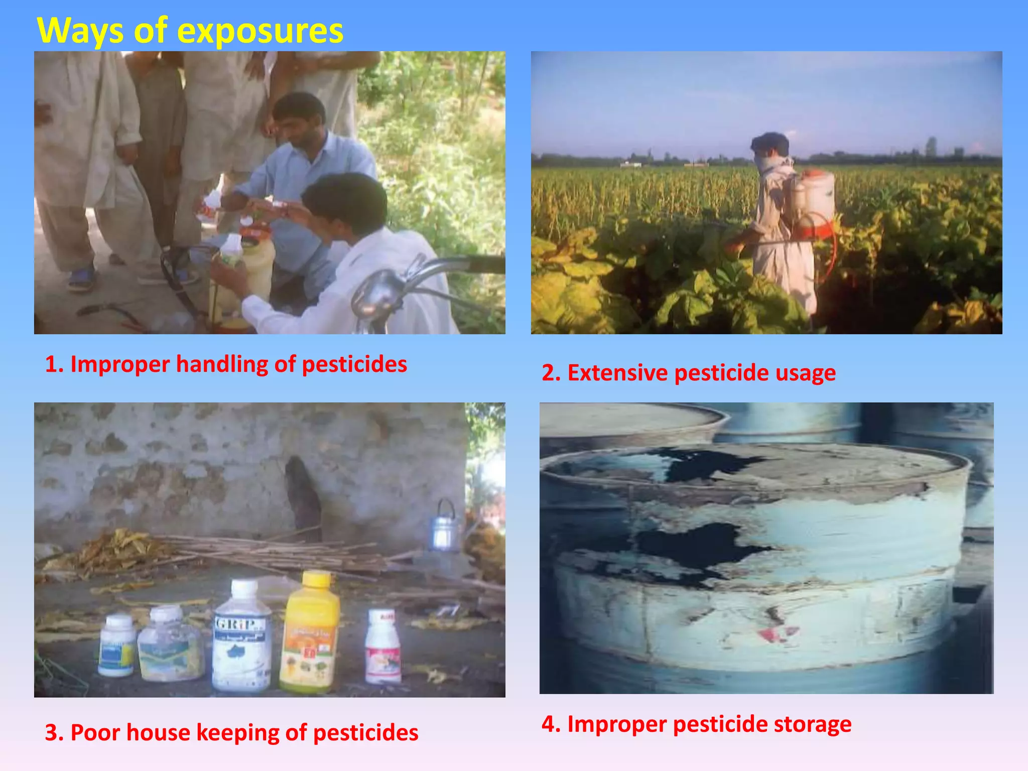 Pesticids and Health hazards | PPTX