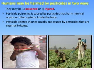 Pesticids and Health hazards | PPTX