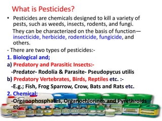 Pesticids and Health hazards | PPTX
