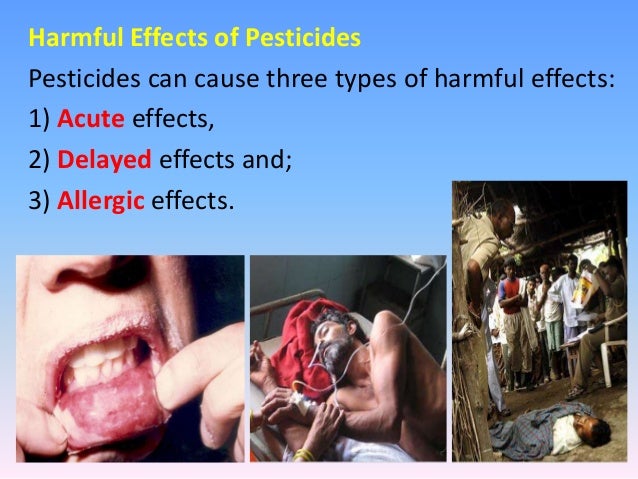 Pesticids and Health hazards