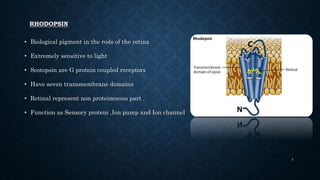 Seminar presentation by Hari mohan at Goa university | PPT