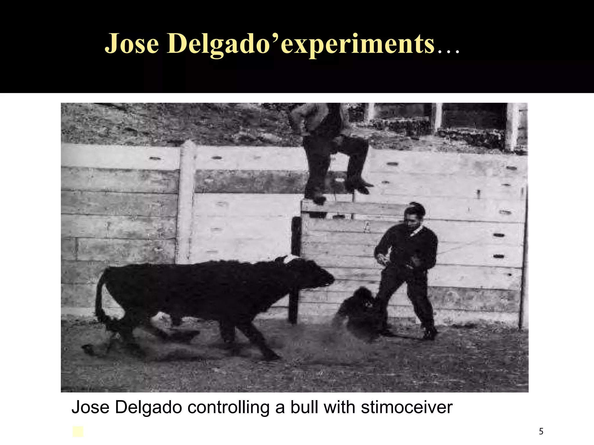 brain chip technology | PPT