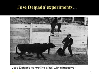 brain chip technology | PPT