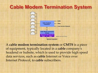 Cable Internet | PPTX | Computer Networking | Computing