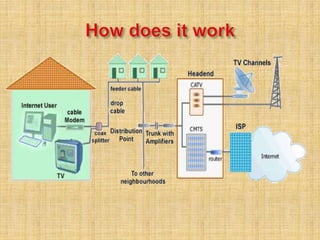 Cable Internet | PPTX | Computer Networking | Computing