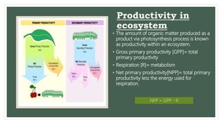 Seminar presentation ecological energy flow in eco system | PPT