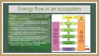 Seminar presentation ecological energy flow in eco system | PPT