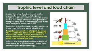 Energy Flow in Ecosystem: Food Chain, Food Web, Trophic Levels, 10% Law ...