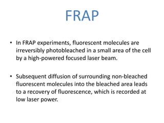Fluorescence recovery after photo bleaching | PPTX
