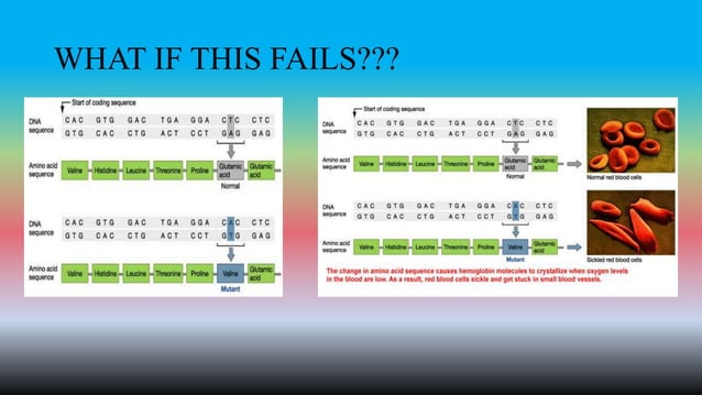 Translational proofreading and translational inhibitors | PPTX