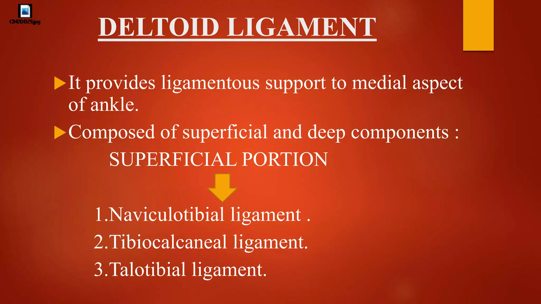 Injuries around the ankle by Dr Bipul Borthakur ppt | PPTX