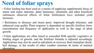 Seminar presentation on foliar spray in greengram | PPT