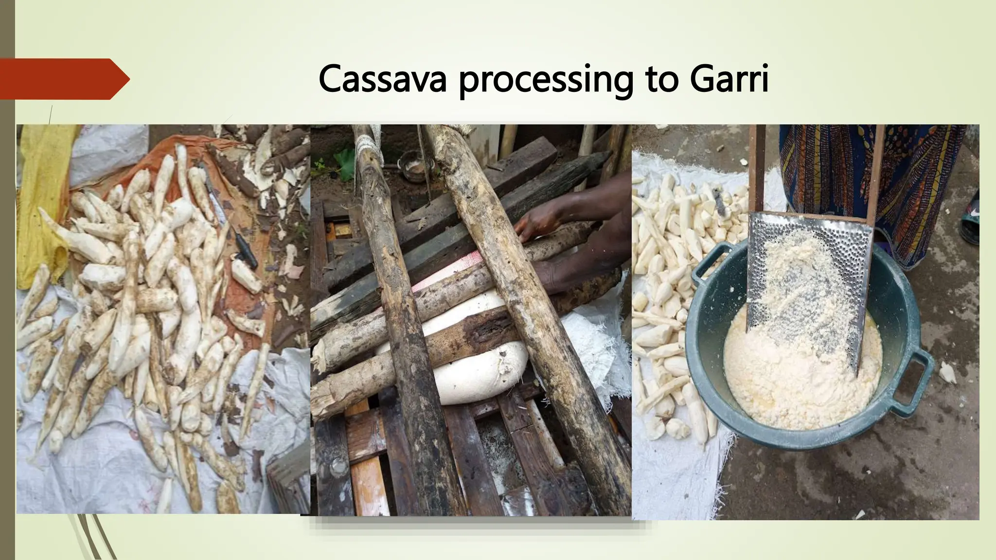 SEMINAR PRESENTATION ON TRADITIONAL METHODS OF FOOD PROCESSING.pptx