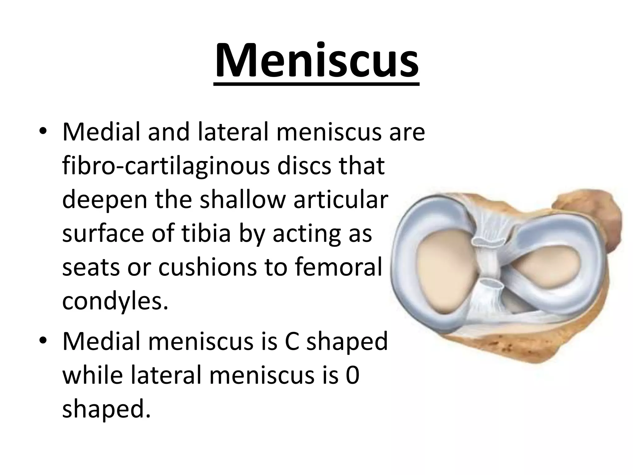 Pathomechanics Knee.pptx
