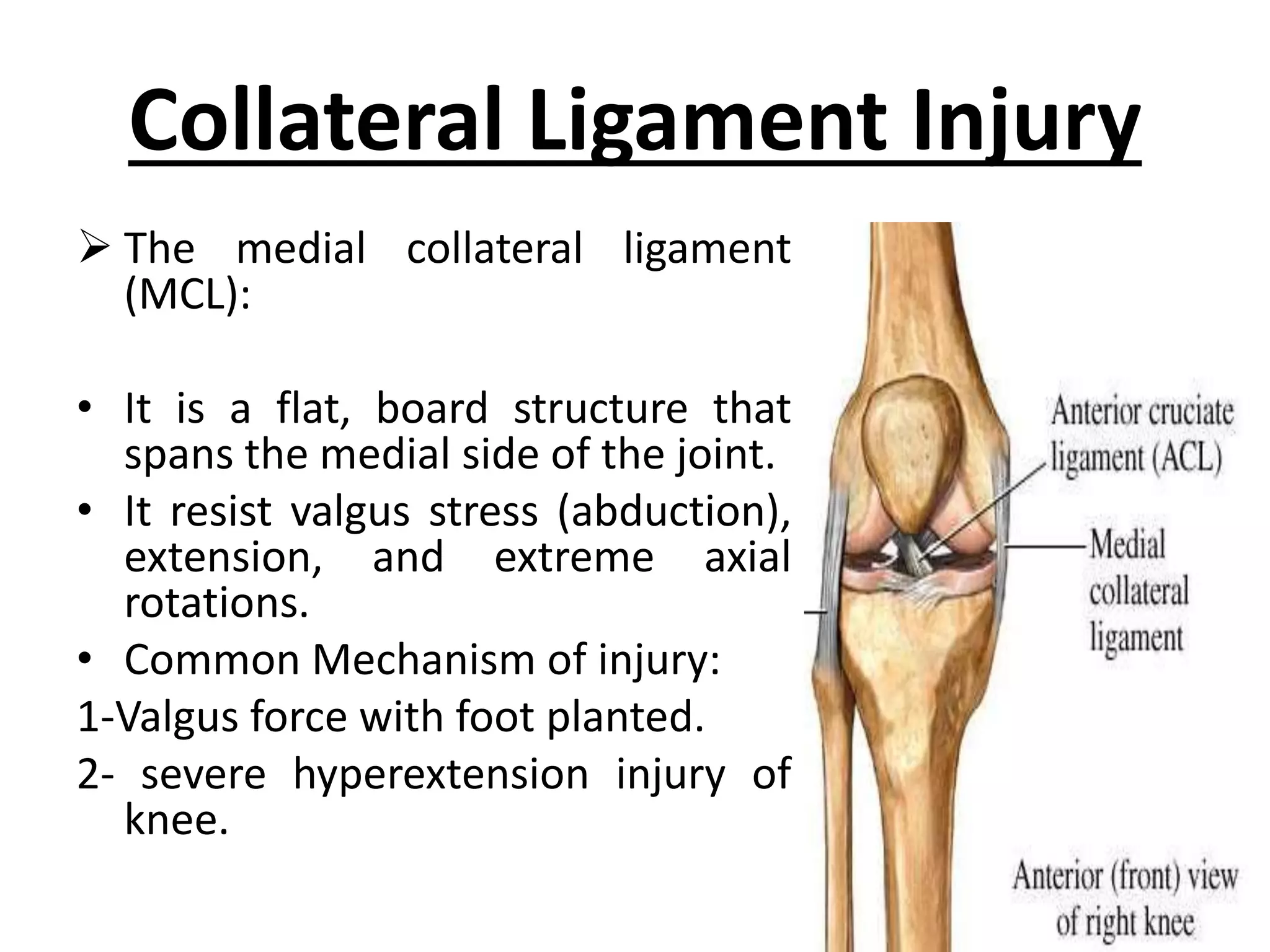 Pathomechanics Knee.pptx