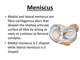 Pathomechanics Knee.pptx