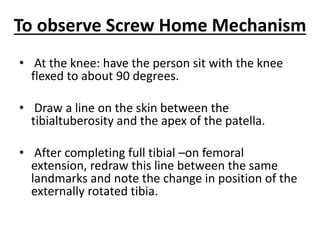 Pathomechanics Knee.pptx
