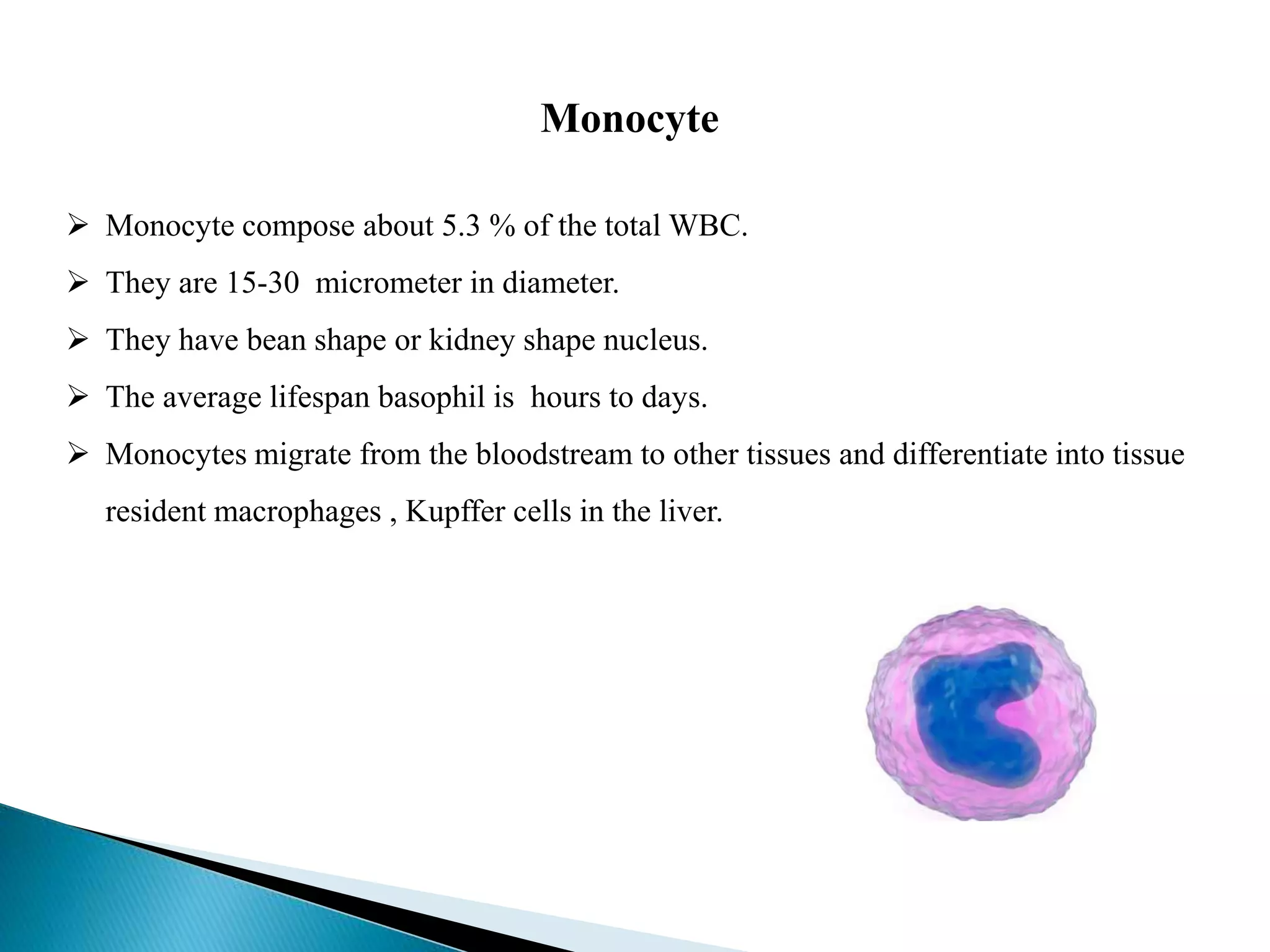 BLOOD - its Components and Function | PPTX